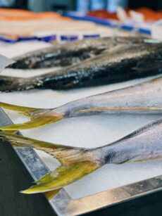 Pacific Fresh – Fish Company