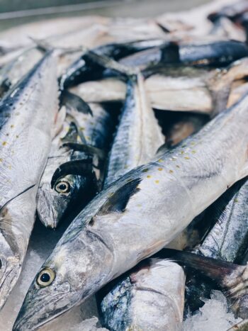 Pacific Fresh – Fish Company