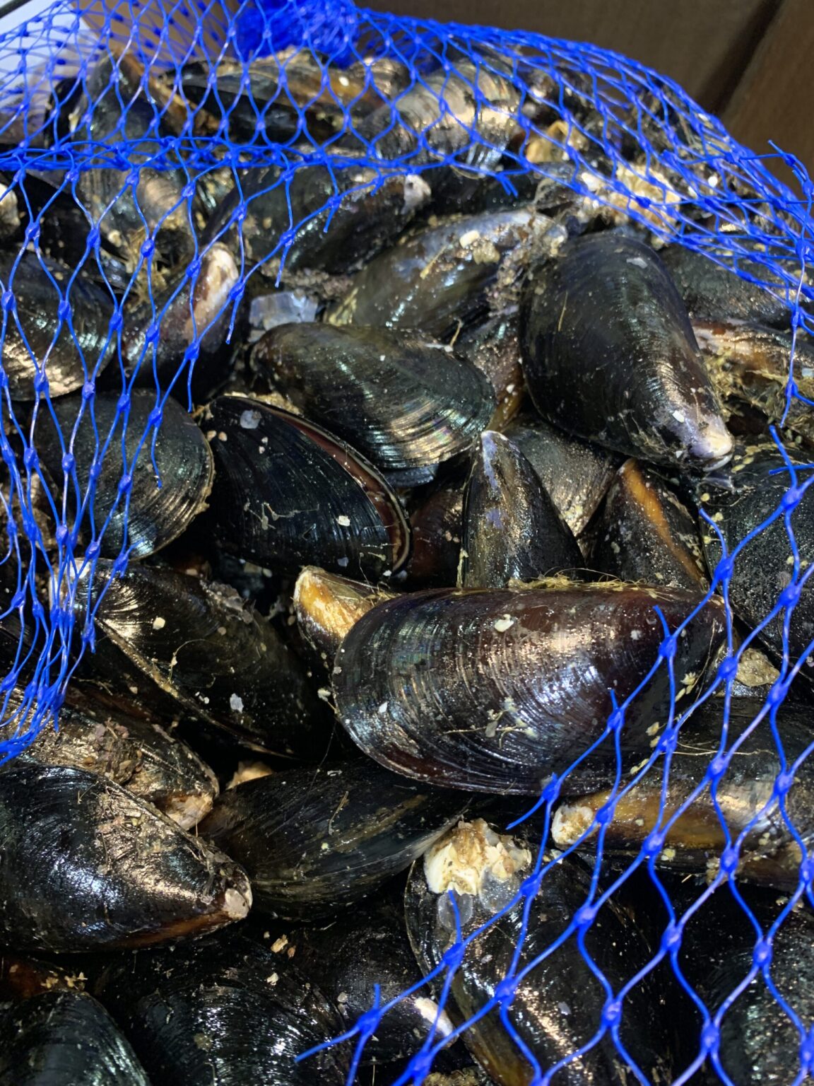 Black Mussels – Pacific Fresh