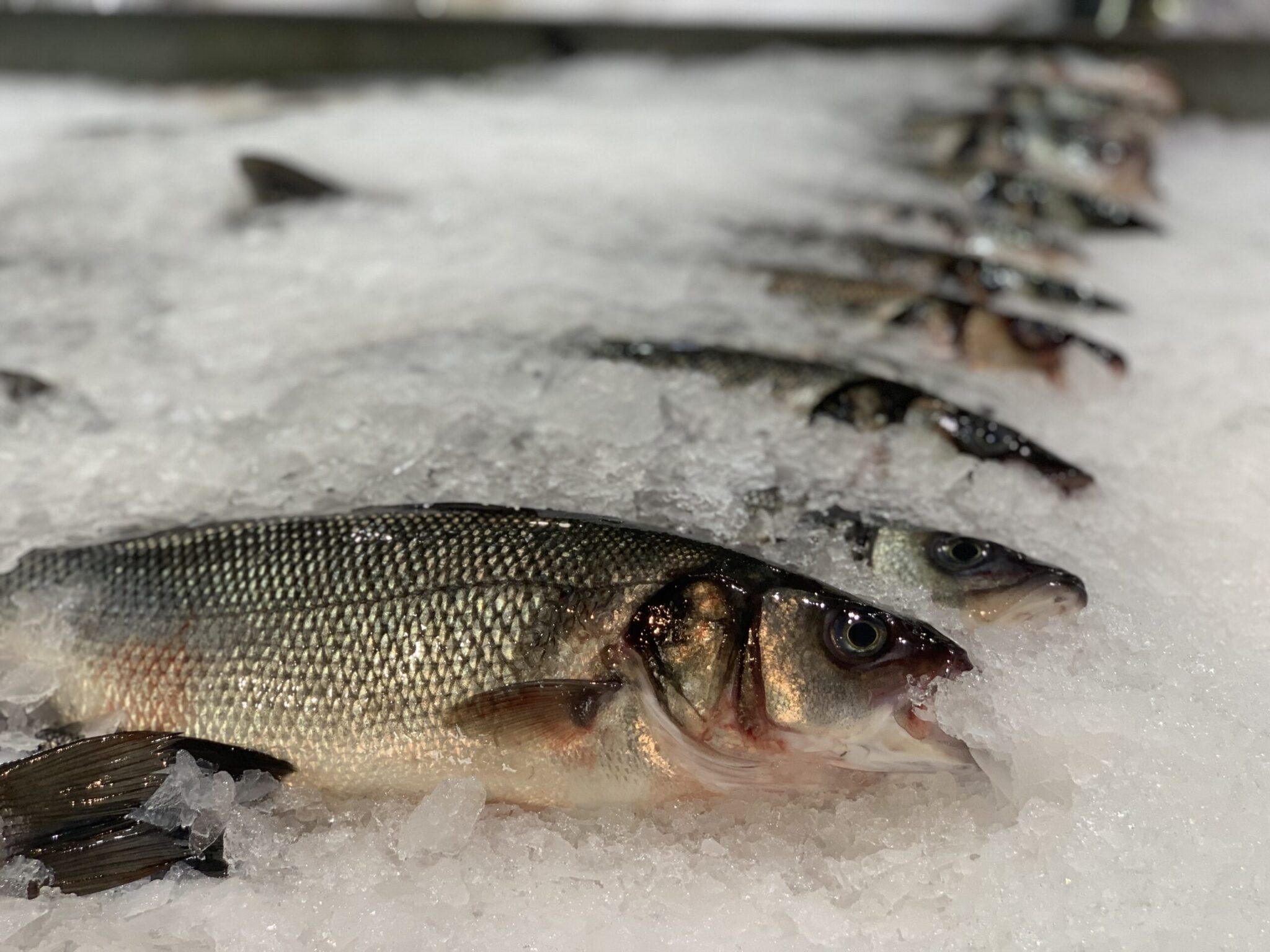 Products – Pacific Fresh