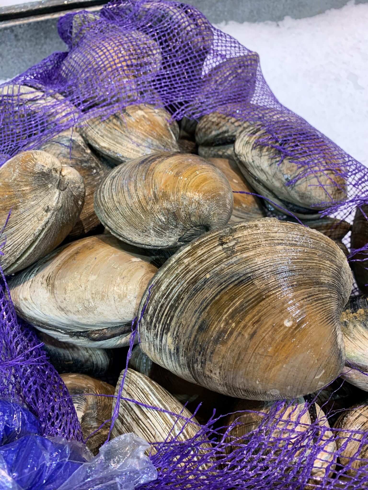 Pacific Fresh – Fish Company