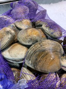 Pacific Fresh – Fish Company