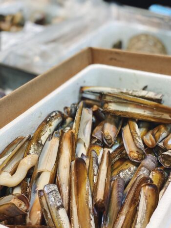 Razor Clams – Pacific Fresh