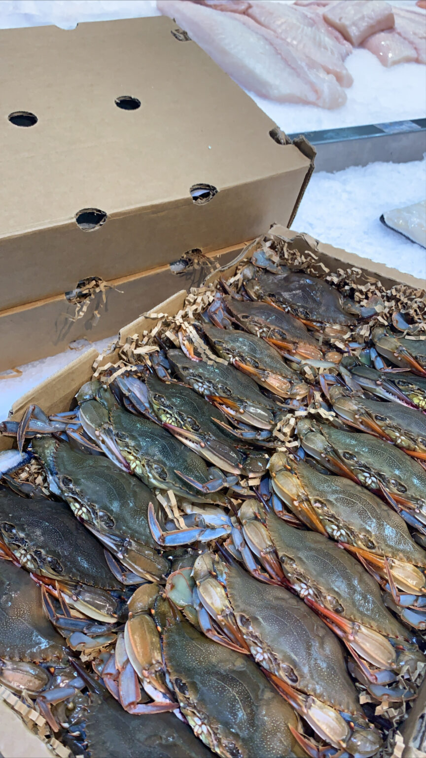 Soft Shell Crabs – Pacific Fresh